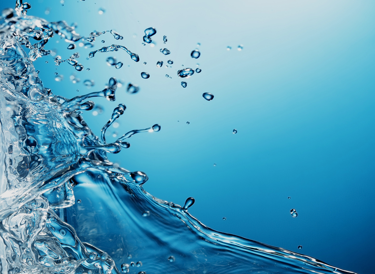 Welcome to Aqua Fresh Bin Cleaning!